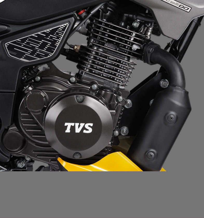 TVS Motor